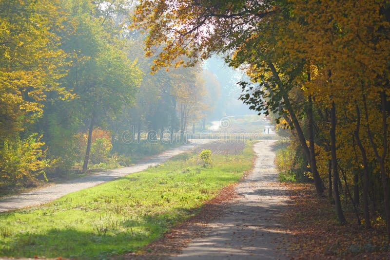 Fall background stock photo. Image of fall, natural, scenic - 35248102