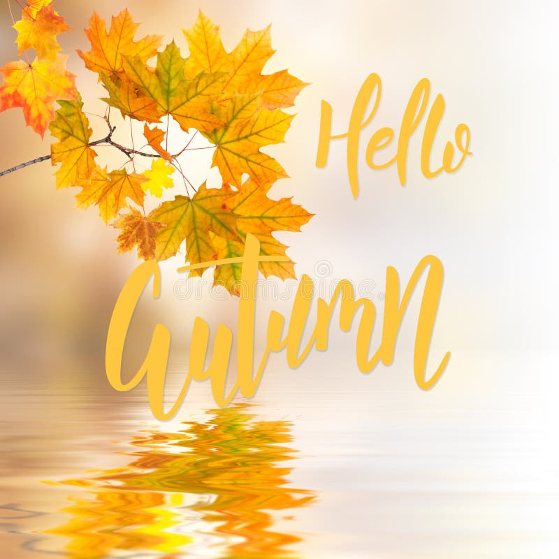 165 Hello September Water Marks Stock Photos - Free & Royalty-Free ...