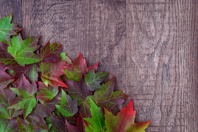 Fall Background, Green and Red Maple Leaves Piled in a Corner, on a ...