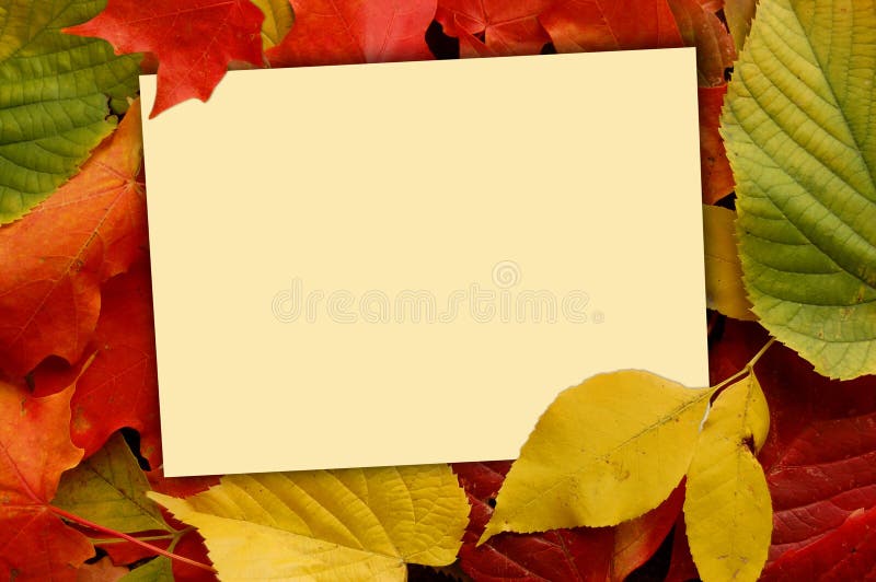 Fall Background with Note Card Stock Image - Image of leaf, colors ...