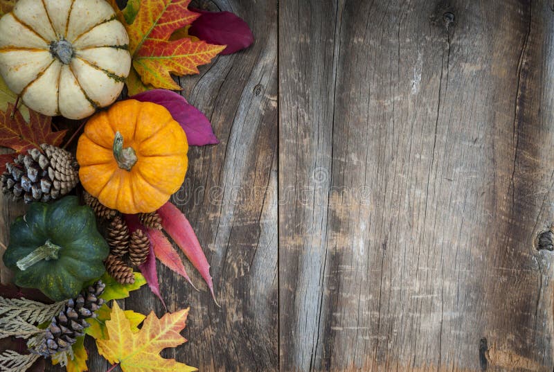 Fall Background with Pumpkins Stock Photo - Image of season, october ...