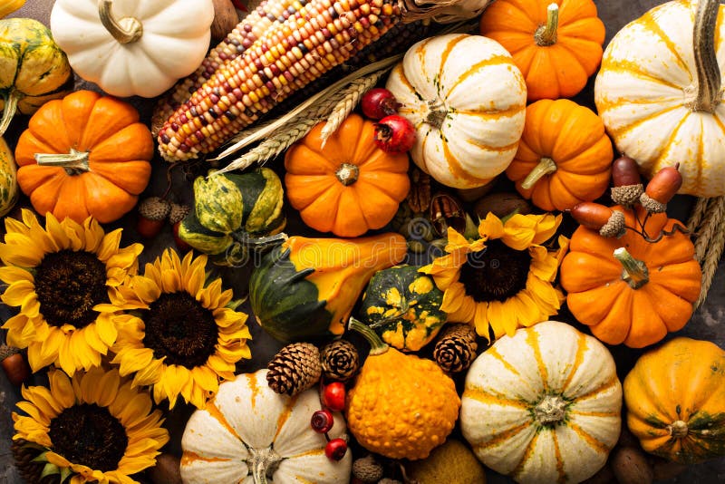 Fall Background with Pumpkins Stock Image - Image of border, november ...