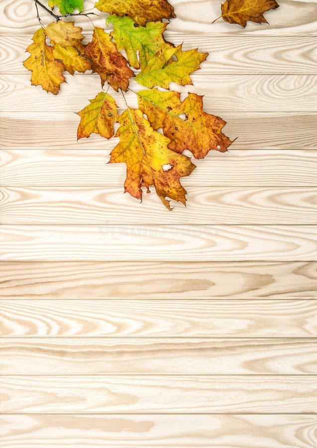 Fall Background. Red Yellow Autumn Leaves Wooden Texture Stock Image ...