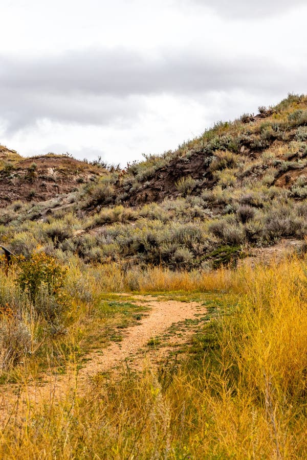 Fall in the Badlands. Midland Provincial Park Alberta Canada Stock ...