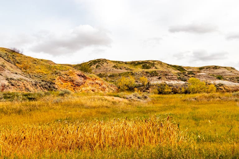 Fall in the Badlands. Midland Provincial Park Alberta Canada Stock ...