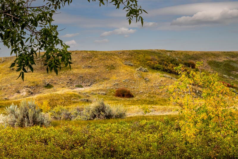 Fall in the Badlands. Midland Provincial Park, Alberta, Canada Stock ...