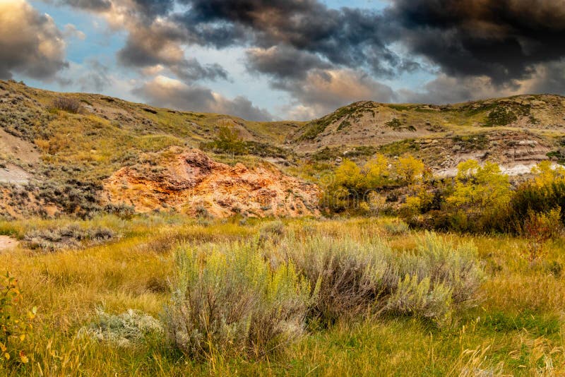 Fall in the Badlands. Midland Provincial Park, Alberta, Canada Stock ...
