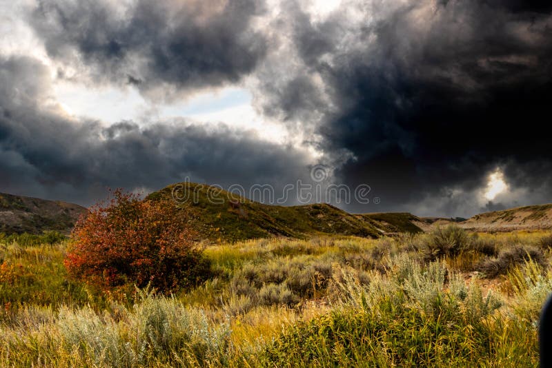 Fall in the Badlands. Midland Provincial Park, Alberta, Canada Stock ...