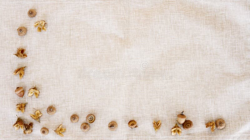 Fall Banner of Beech Seed Cases and Acorns Stock Image - Image of ...