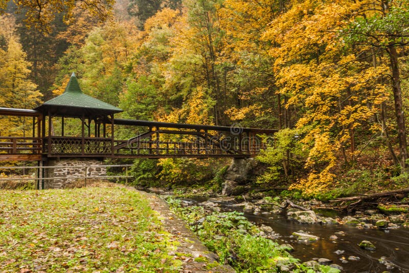 Fall in Bavaria stock image. Image of foliage, leaves - 36008241