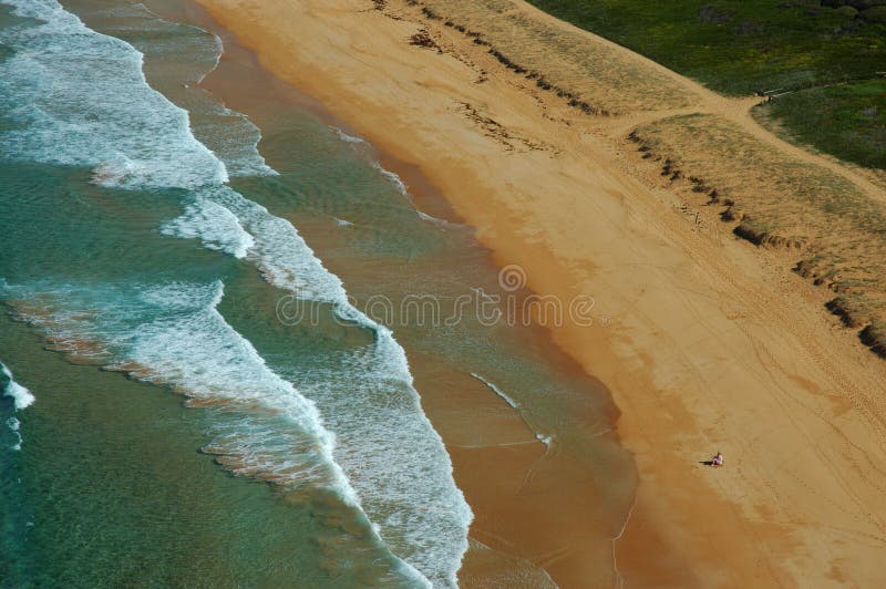 Fall On The Beach Picture. Image: 317599