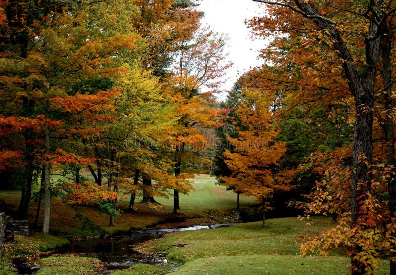 Fall Beauty stock image. Image of colors, landscape, plants - 15662175