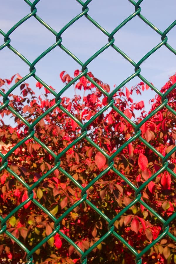 Fall behind the fence stock photo. Image of color, nature - 341632