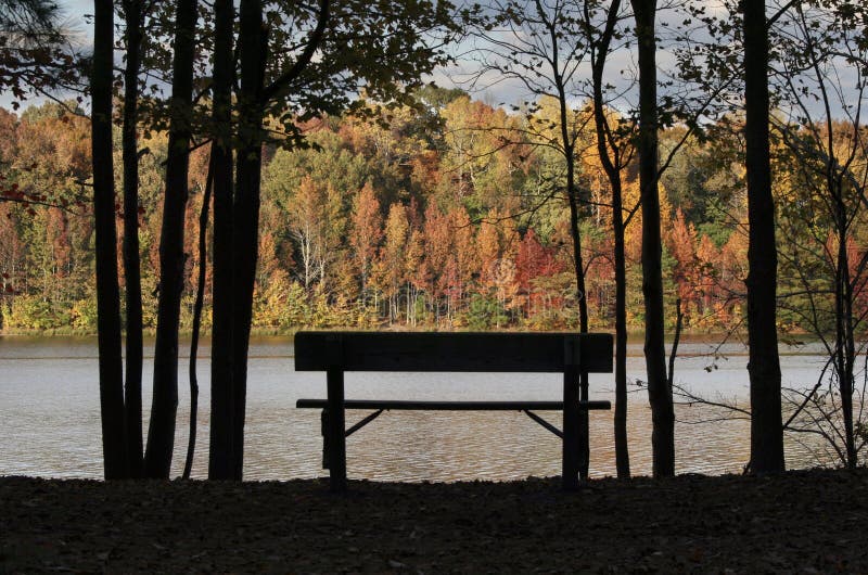 Fall bench stock photo. Image of september, october, lake - 7039528