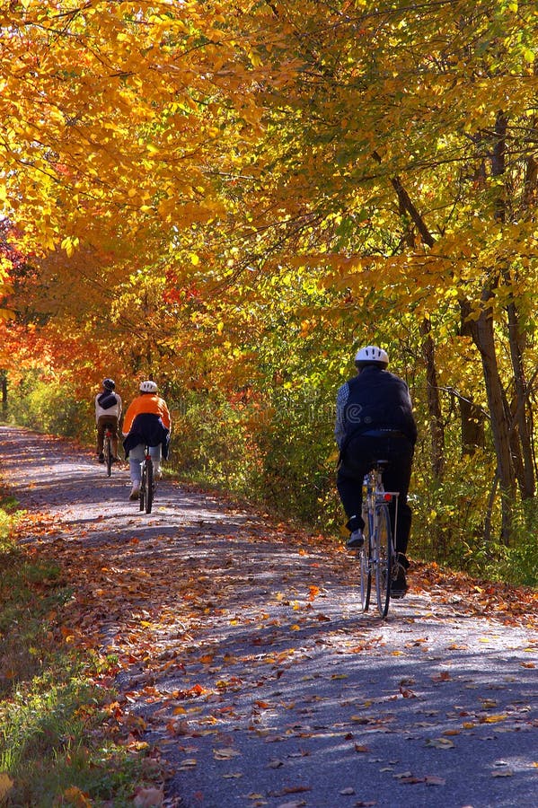 A Fall Bike Trip stock photo. Image of forest, autumn - 1942524