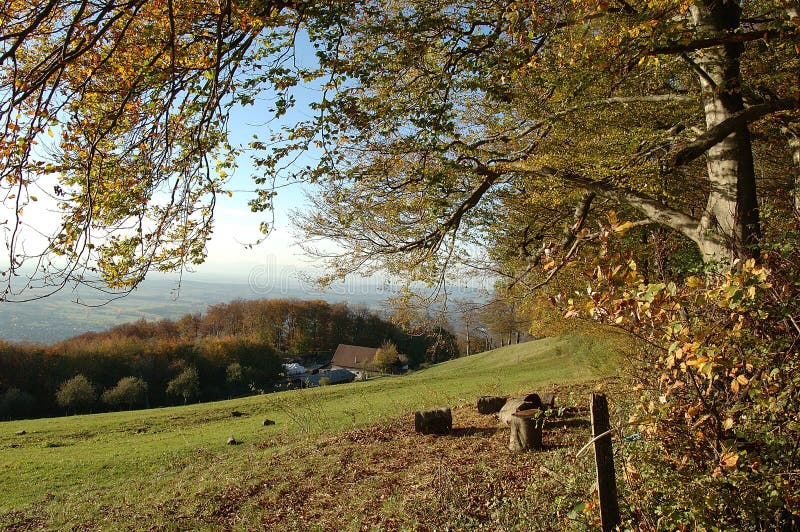 Fall in the black forest stock photo. Image of tree, holidays - 412096