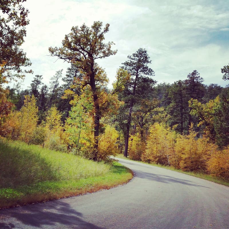 Fall editorial stock photo. Image of road, curves, fall - 47567568