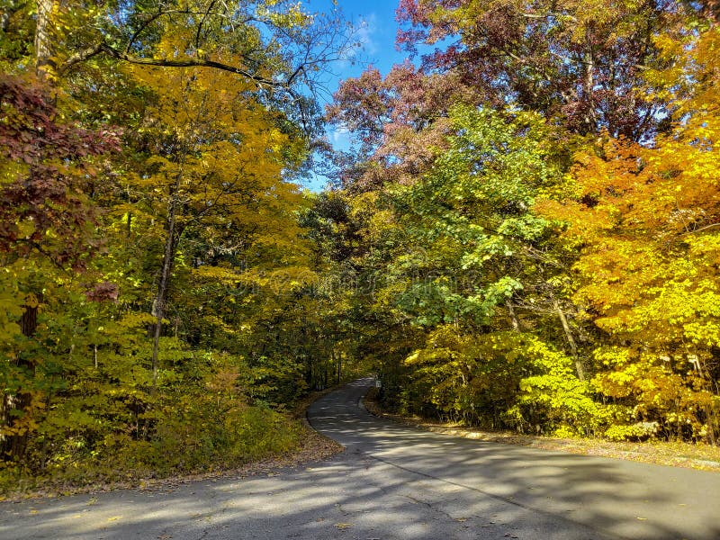 Fall at Blendon Woods Metro Park, Columbus, Ohio Stock Photo - Image of ...