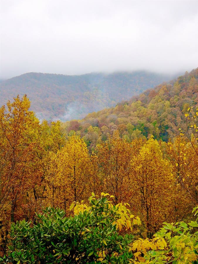 Fabulous Fall in the Mountains Stock Photo - Image of tree, fabulous ...