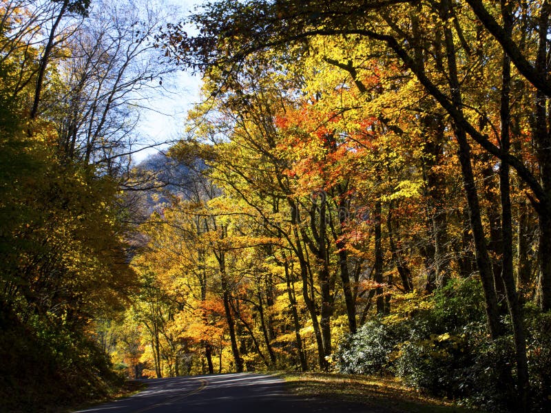 Fall on the Blue Ridge Parkway Stock Image - Image of orange, colorful ...