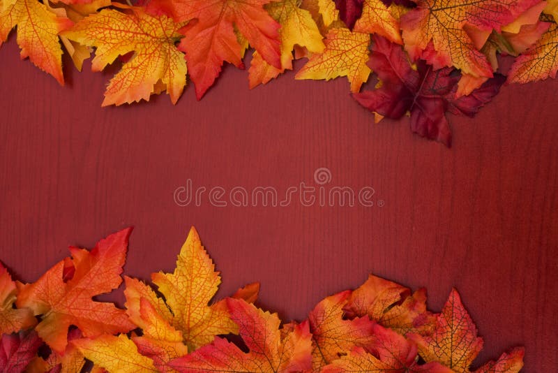 Fall Border stock photo. Image of leaf, border, symbol - 6059584