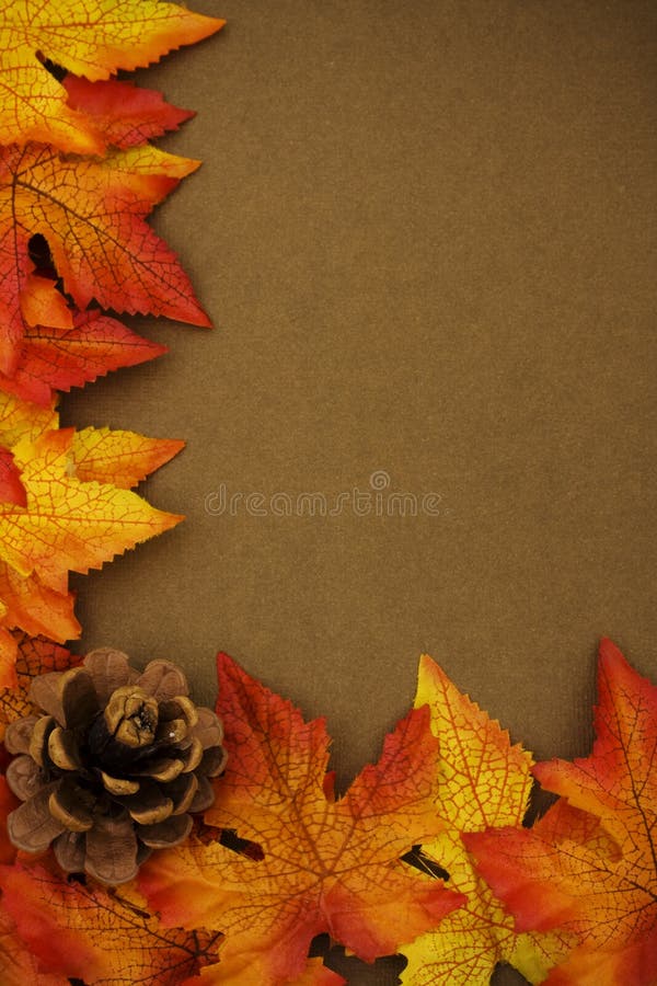 Fall Border stock photo. Image of leaf, plant, colourful - 6133752