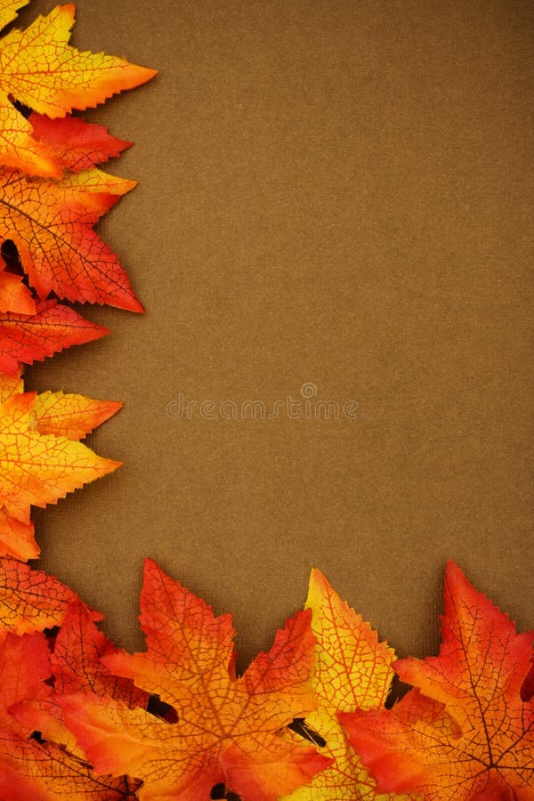 Fall Border stock photo. Image of leaf, plant, colourful - 6133752