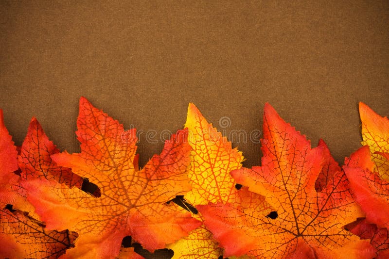 Orange Fall Background Border with Copyspace Stock Image - Image of ...