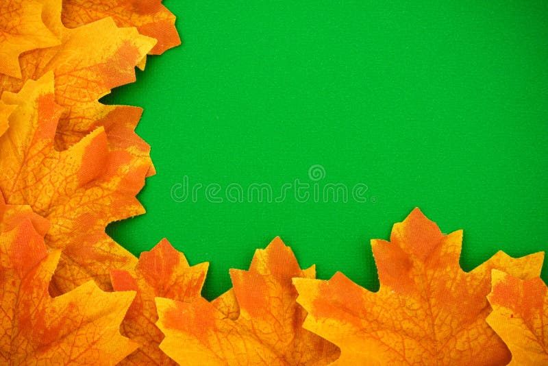 Fall Border stock image. Image of season, pine, border - 6101683