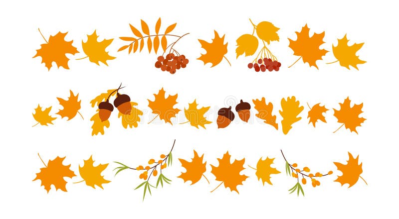 Fall Border Lines from Autumn Botanical Leaves, Berries, Acorns. Set of ...
