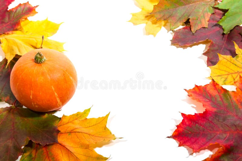Fall Border with Pumpkin and Autumn Leaves Stock Image - Image of ...
