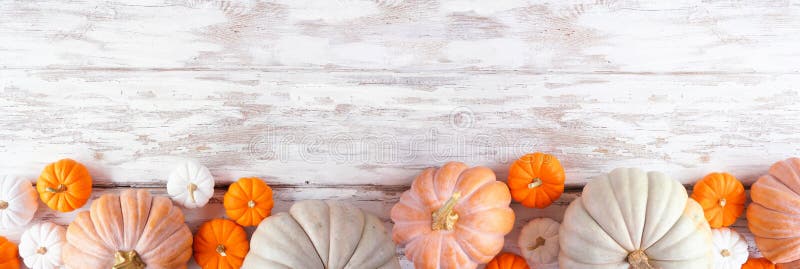 Fall Bottom Border of Pumpkins, Leaves and Natural Autumn Decor on a ...
