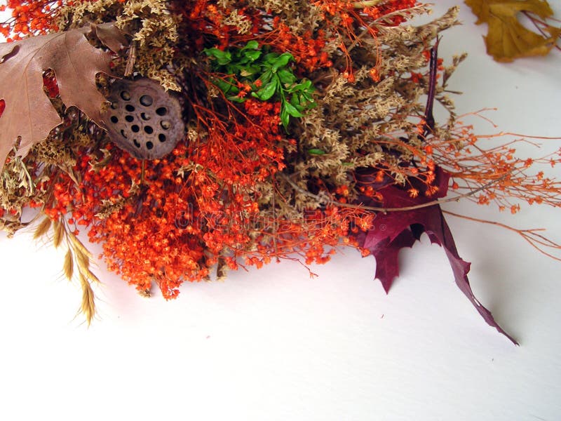 Fall bouquet spray stock photo. Image of season, smell - 334054