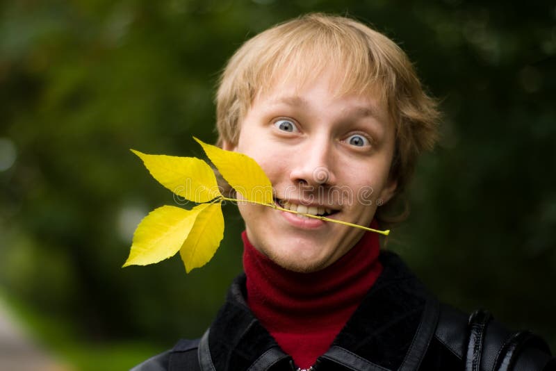 Fall boy stock image. Image of charming, green, adult - 10818237