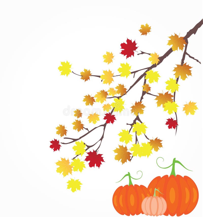 Fall Branch stock vector. Illustration of card, fall - 33686490