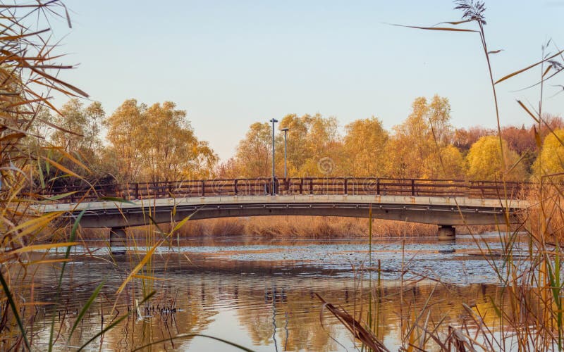 Fall bridge stock image. Image of colors, green, tranquil - 81667967