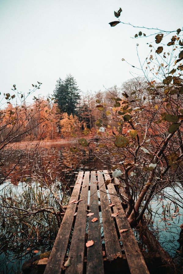 Fall bridge over lake stock photo. Image of lake, fall - 205486988