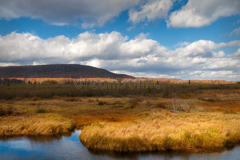 Fall in Canaan Valley stock photo. Image of valley, park - 265000014