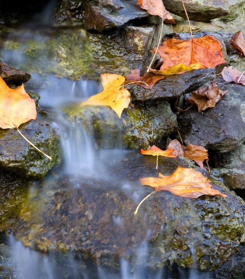 Fall cascade stock image. Image of autumn, waterfall, green - 7150813
