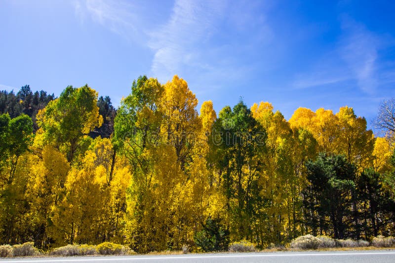 Fall Changing Colors of Trees Stock Image - Image of brilliant, trees ...