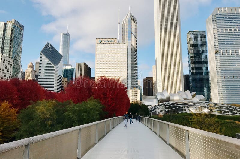 Fall Chicago Skyline editorial photography. Image of field - 78442387