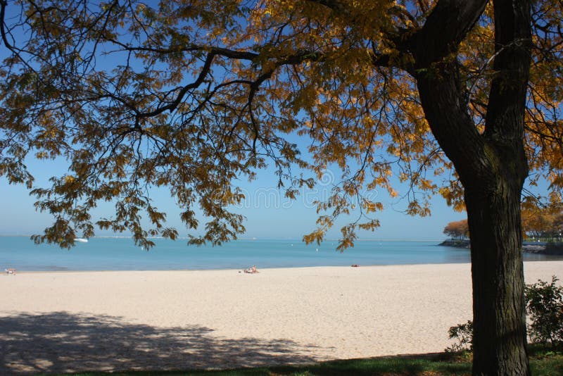 Fall in Chicago stock photo. Image of travel, northamerica - 58731310