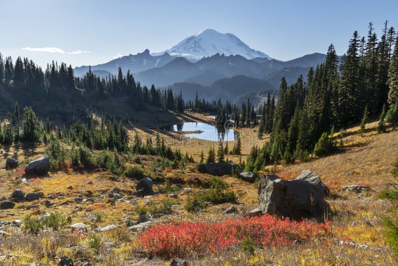 Fall in the Chinook Pass Area of Rainier National Park Stock Image ...