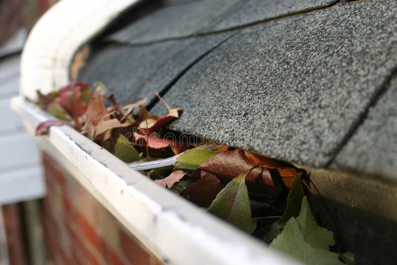 Fall Cleanup - Leaves in Gutter Stock Image - Image of leaves, labor ... Fall Cleanup - Leaves in Gutter Stock Image - Image of leaves, labor ...
