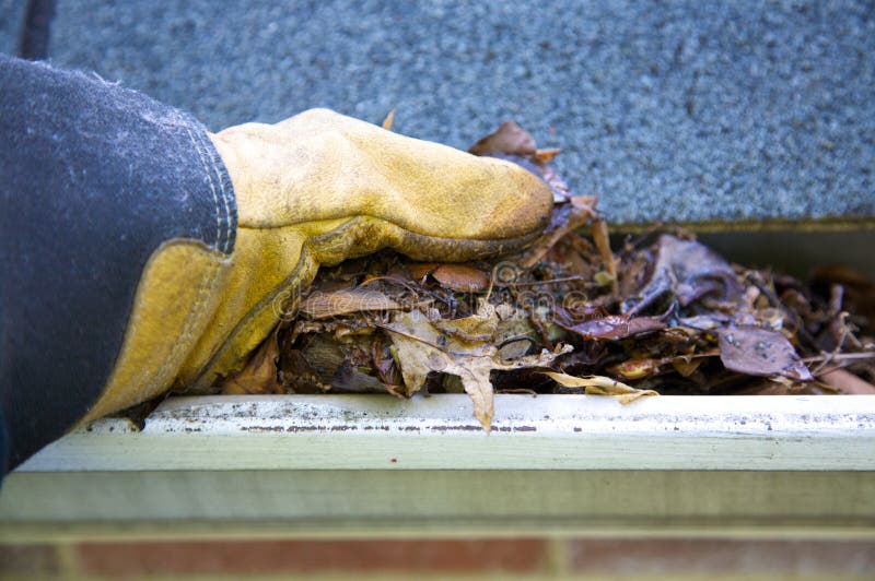 Fall Cleanup - Leaves in Gutter Stock Image - Image of cleanup, leaves ... Fall Cleanup - Leaves in Gutter Stock Image - Image of cleanup, leaves ...
