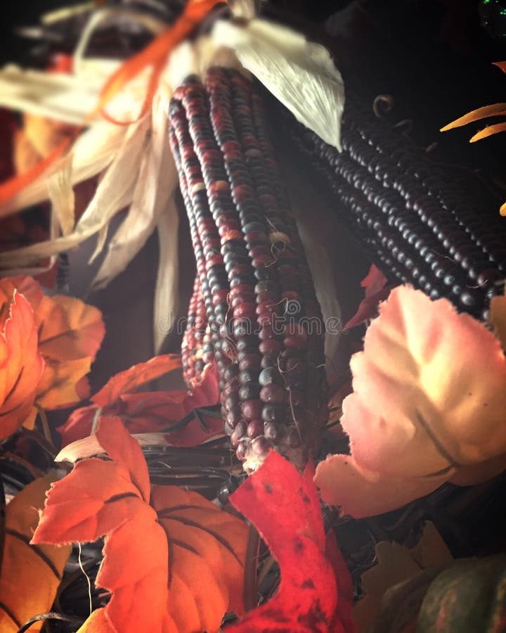 Fall stock photo. Image of coloful, reef, fall, close - 61433676