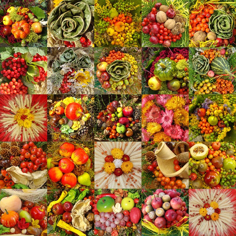Autumnal harvest collage stock image. Image of crop, orange - 21541845