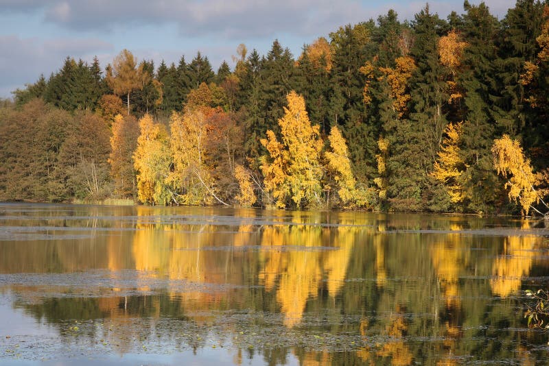 Finland: Autumn colors stock photo. Image of calm, suomi - 12166730