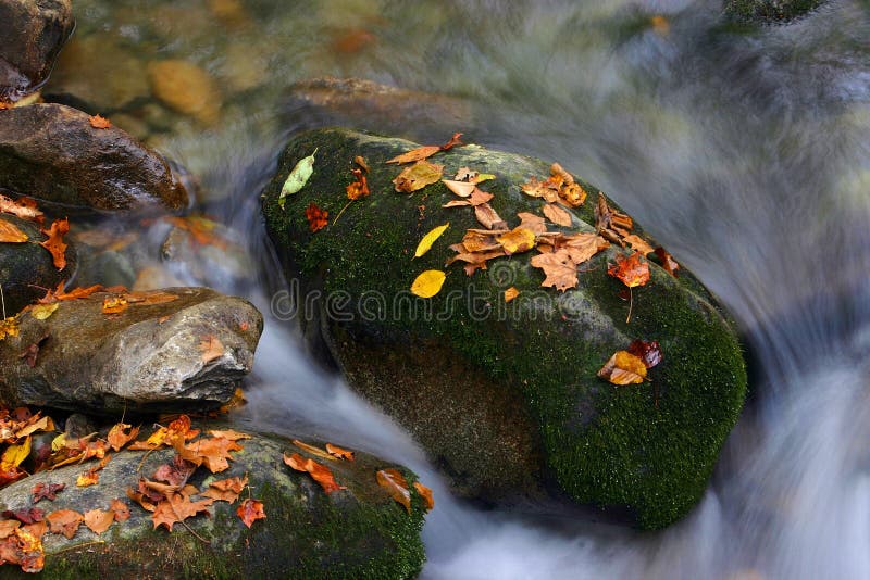Fall color stock image. Image of keywords, tennessee, water - 145717