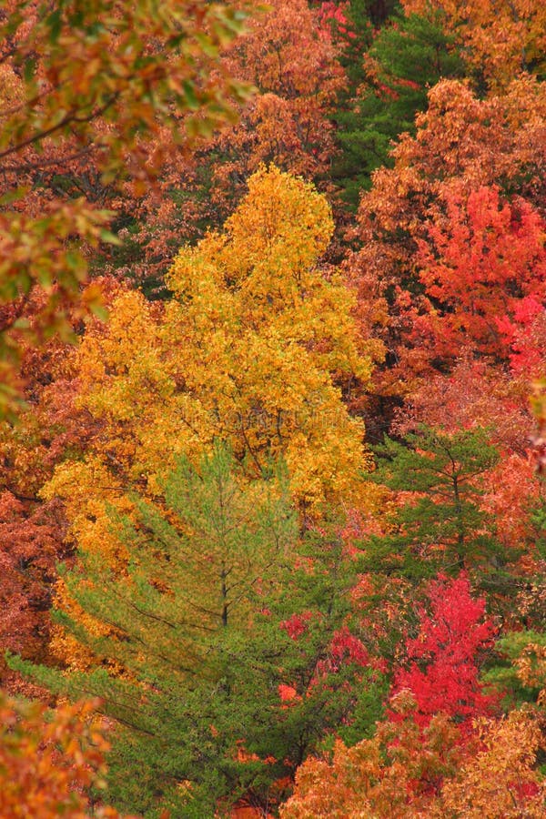Fall Color stock image. Image of fort, transportation - 5026499